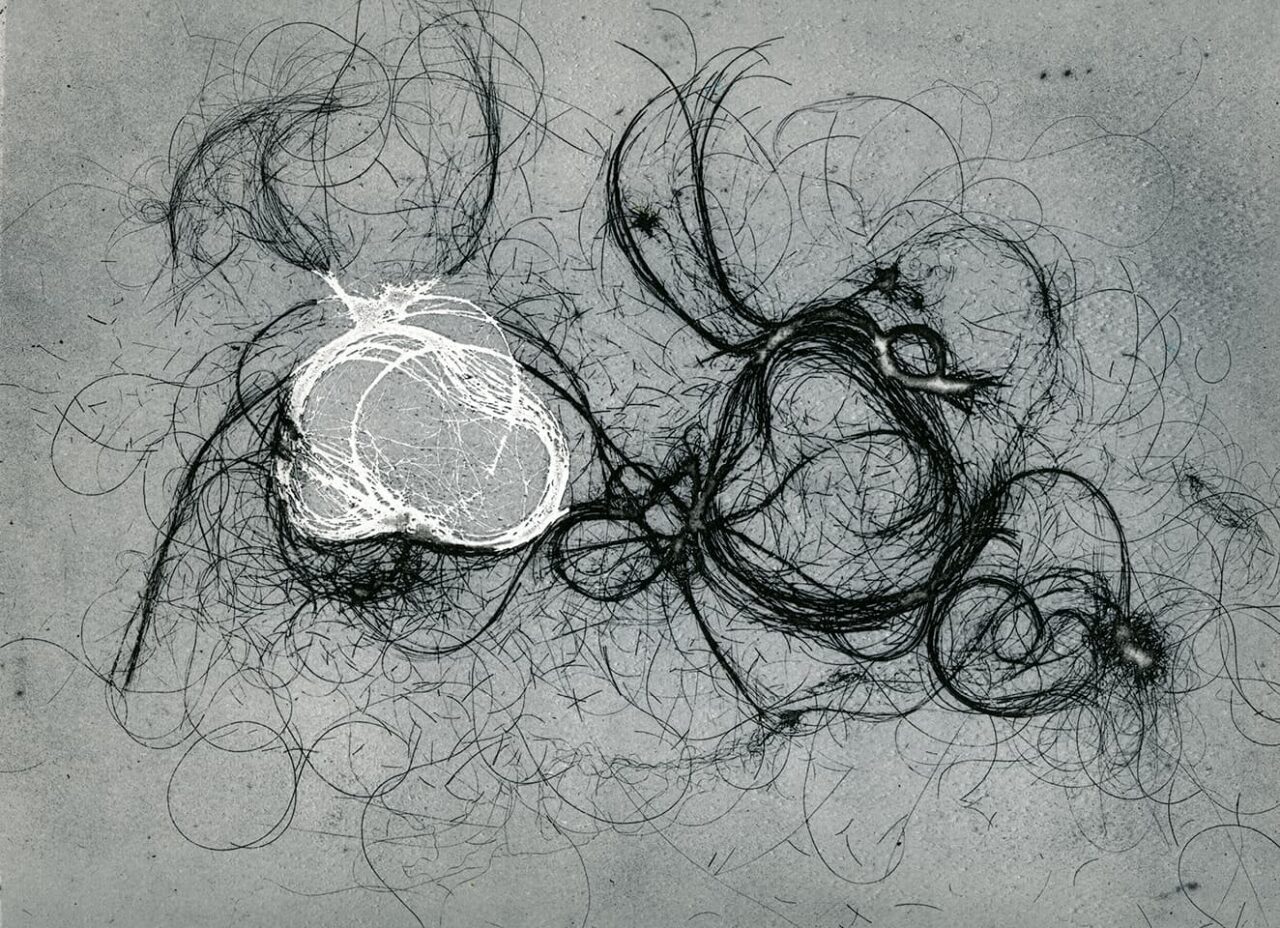 Works - Susan Aldworth