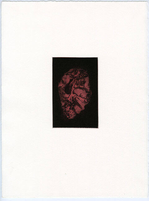 Works - Susan Aldworth