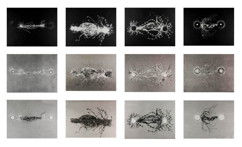 Works - Susan Aldworth